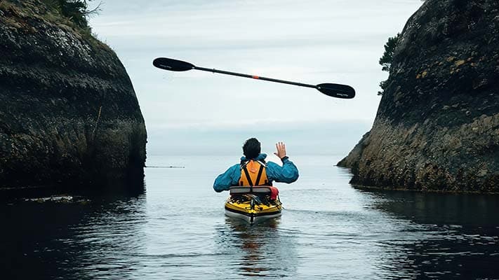 Whales and Wildlife Explorer - Kingfisher Wilderness Adventures Kayak Tours